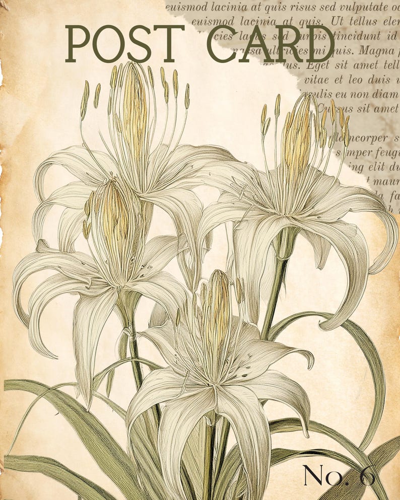 Vintage Floral Art Print: Shabby Chic Cottagecore Home Decor - Etsy