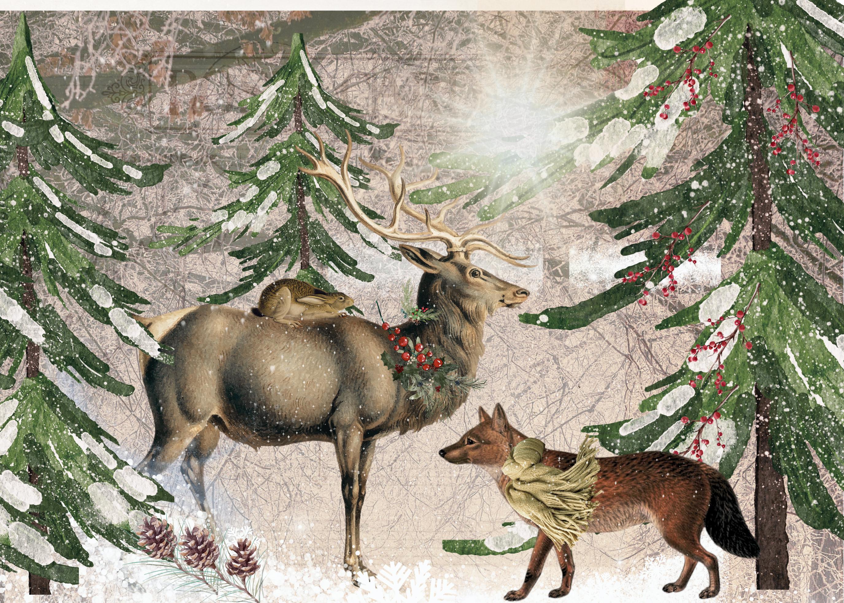 Holiday Cards-woodland Animals, Festive Reindeer, Cardinals, Owl ...