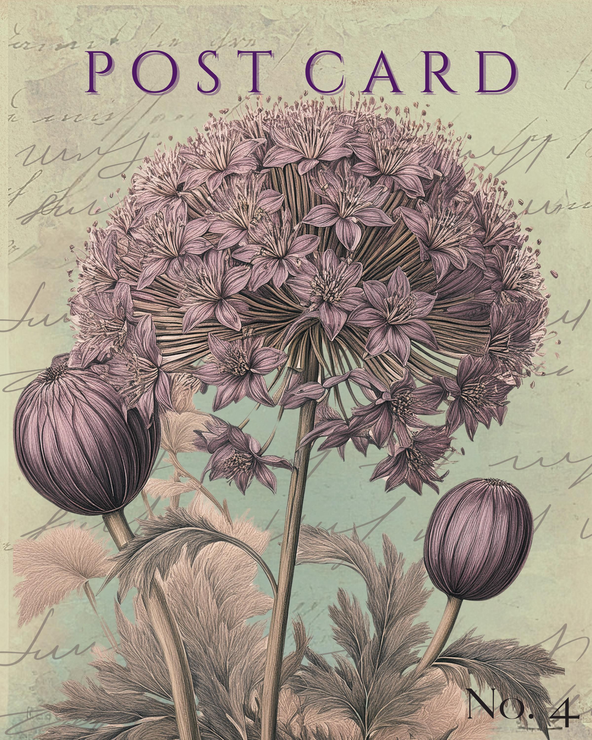 Vintage Botanical Art |antique Floral Illustration Reproduction Cards ...