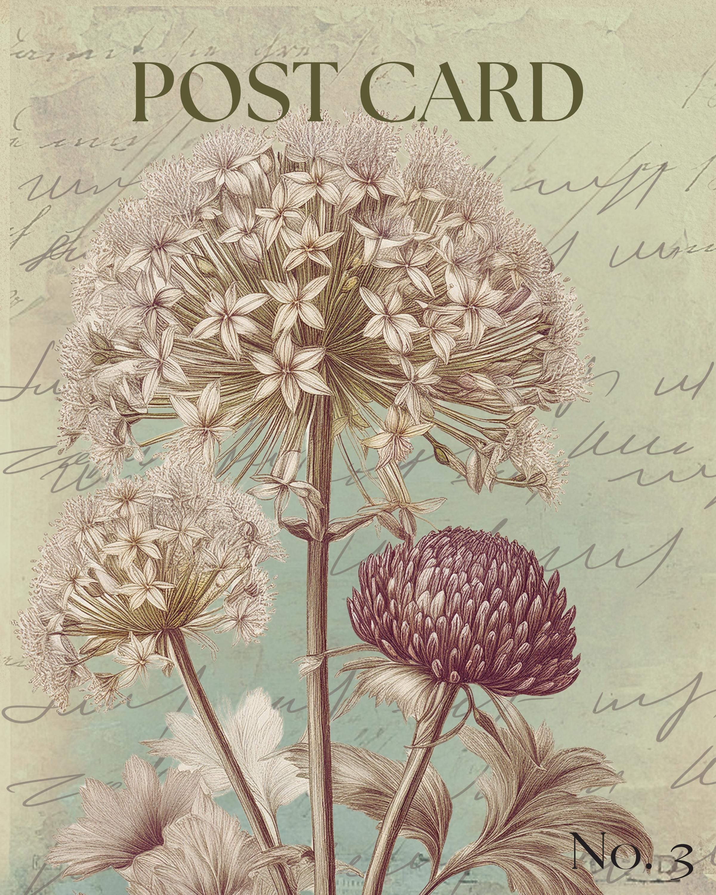 Vintage Botanical Art |antique Floral Illustration Reproduction Cards ...