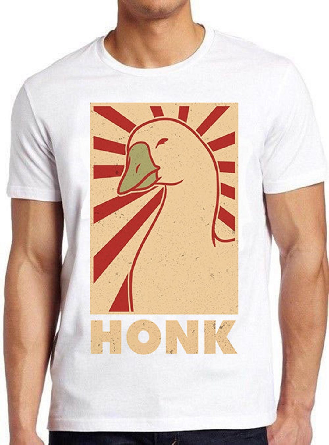 Honk Goose Duck Animal Chemistry Science Avogadro's Day Meme Funny Tee ...