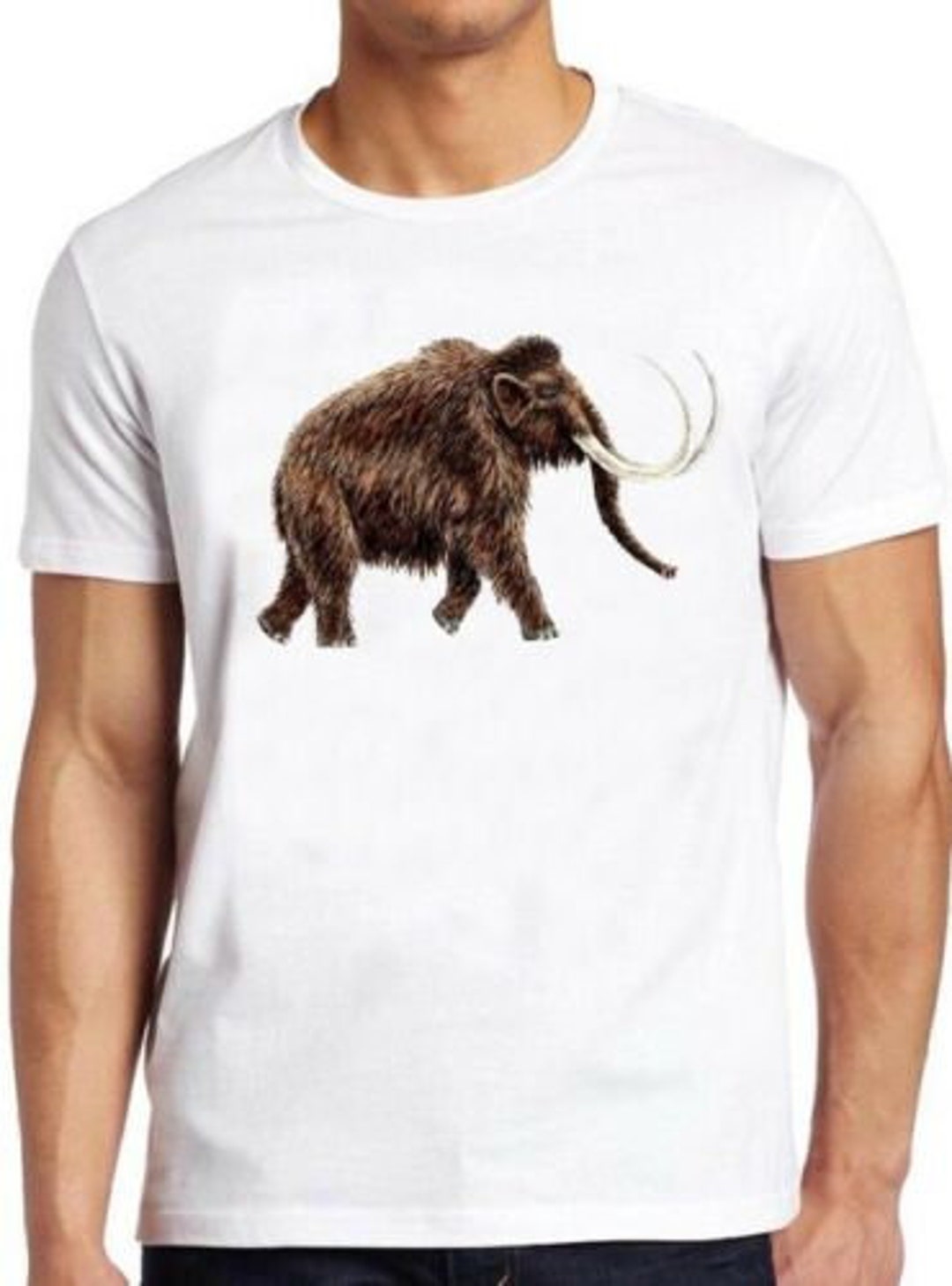 Big Woolly Mammoth T Shirt Elephant Dinosaur Cute Animal Park Cool Gift ...