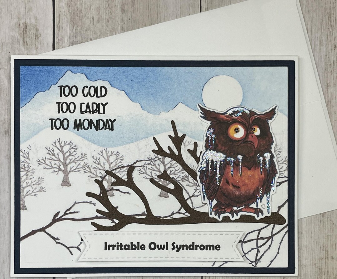 5x Irritable Owl DIY Card Kit, Winter, Winter Card, Seasonal Card, Card ...