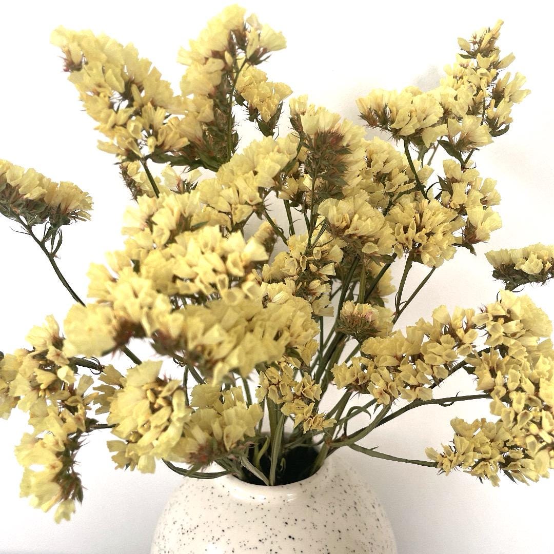 Dried Statice Flowers Bouquet, Dried Limonium Flowers, Yellow Shades ...