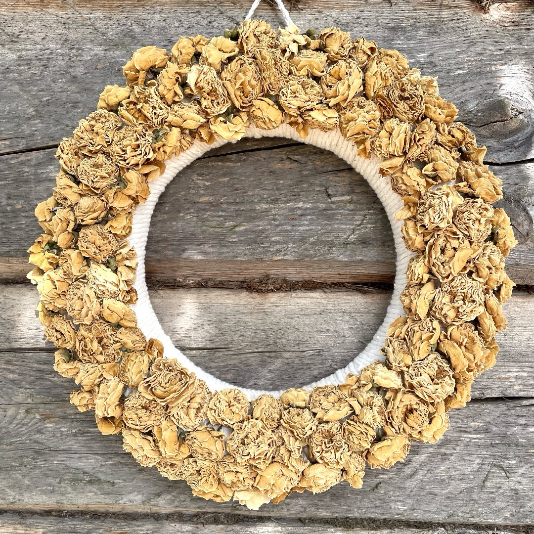 Real Dried Roses Wreath, 34cm (13,38inches) Diameter Wreath, Wall ...