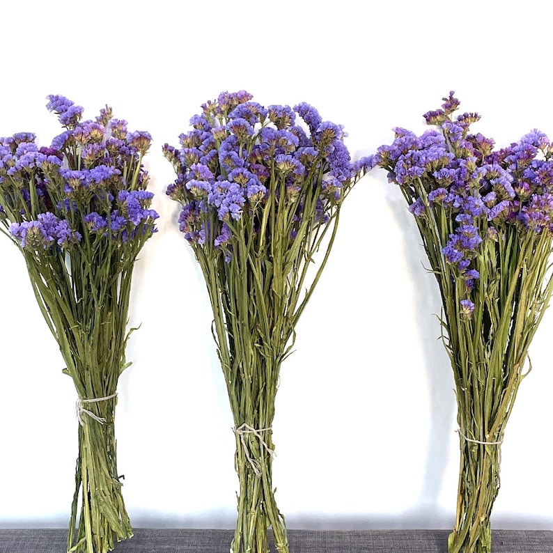 Dried Limonium Statice Bouquet Blue Shades Dried Flowers - Etsy