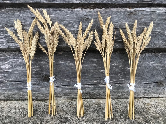 Wheat Bundle