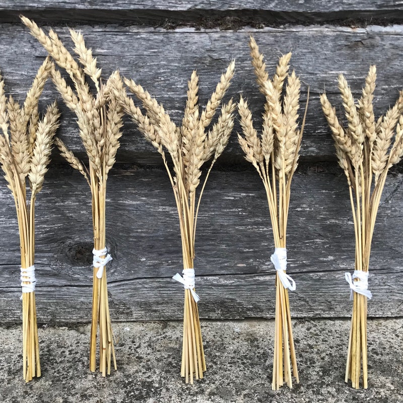 Wheat fleur canola oil salt to make chipotle - Etsy Canada