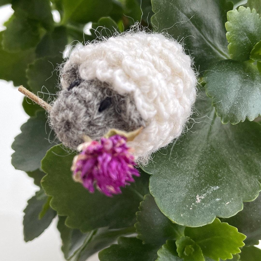Handmade Mini Sheep, Sheep With Real Dried Clover Bud, Wool Sheep ...