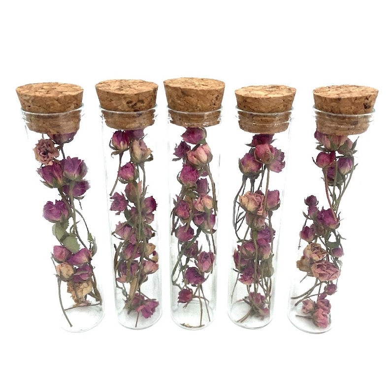 Bunch of Mini Dried Roses, Naturally Dried Roses, Crafts Supply ...
