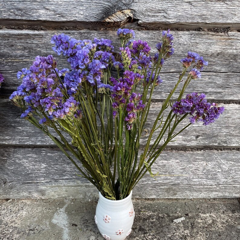 Dried Limonium Statice Bouquet Blue Shades Dried Flowers - Etsy