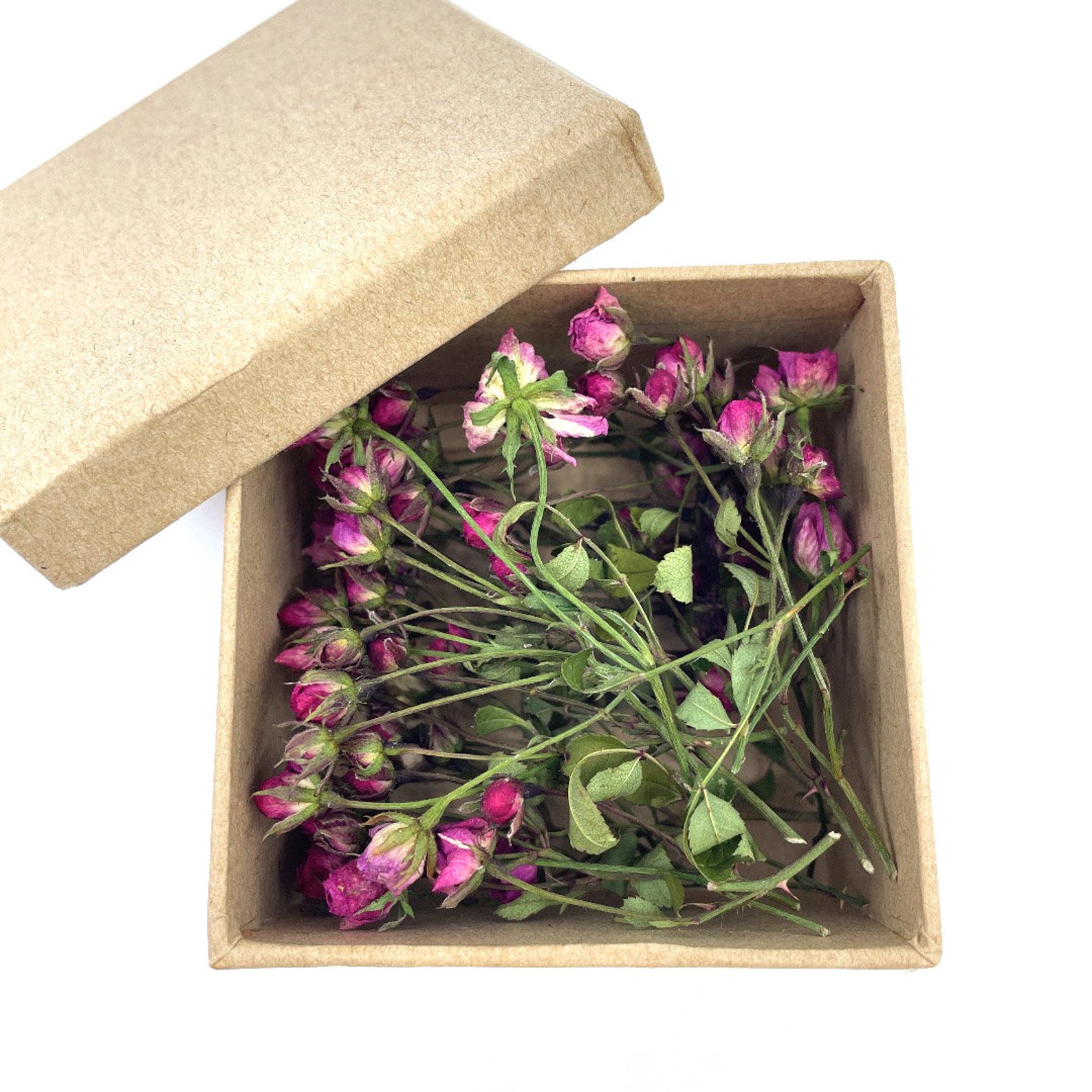 Bunch of Mini Dried Roses, Naturally Dried Roses, Crafts Supply ...