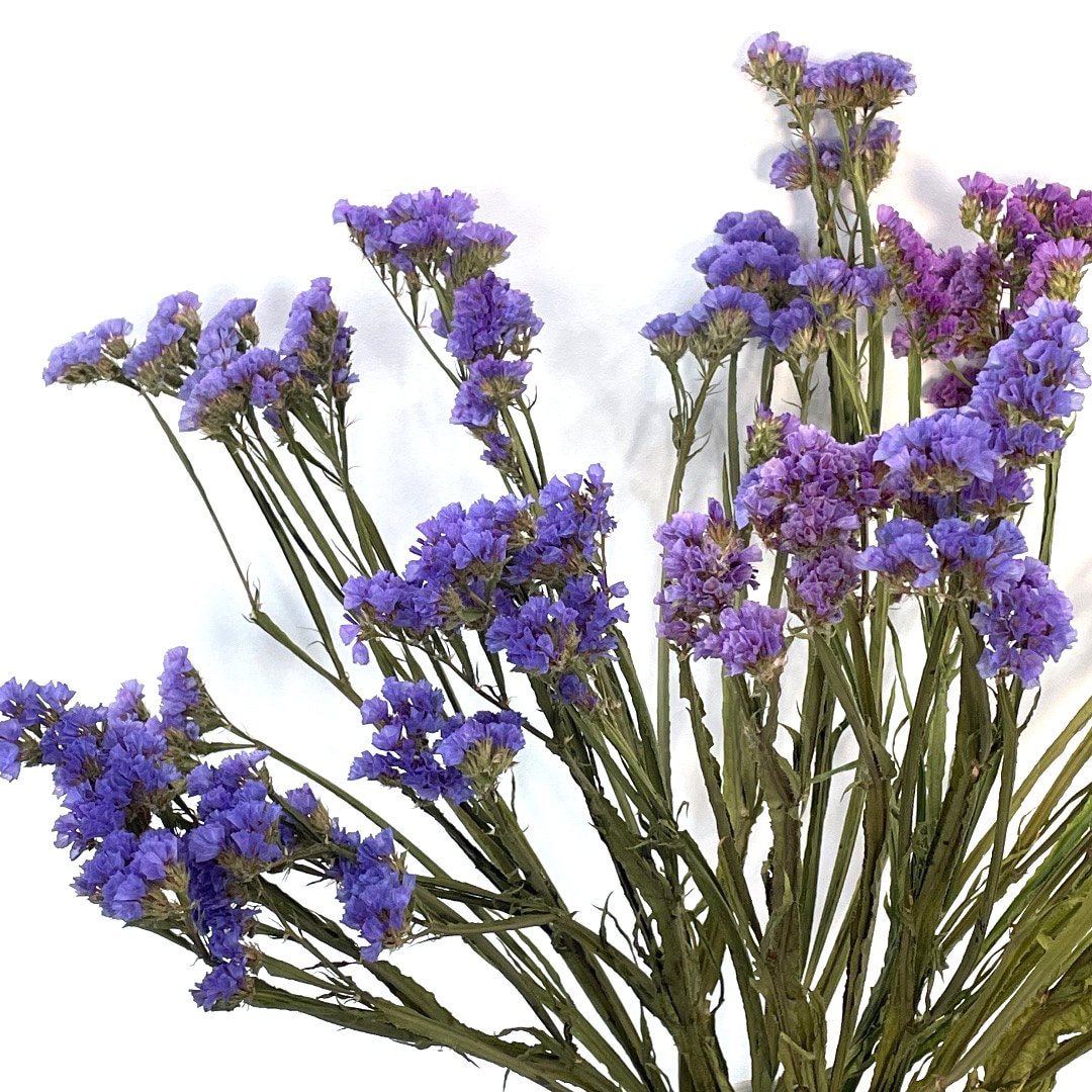 Dried Limonium Statice Bouquet Blue Shades Dried Flowers - Etsy
