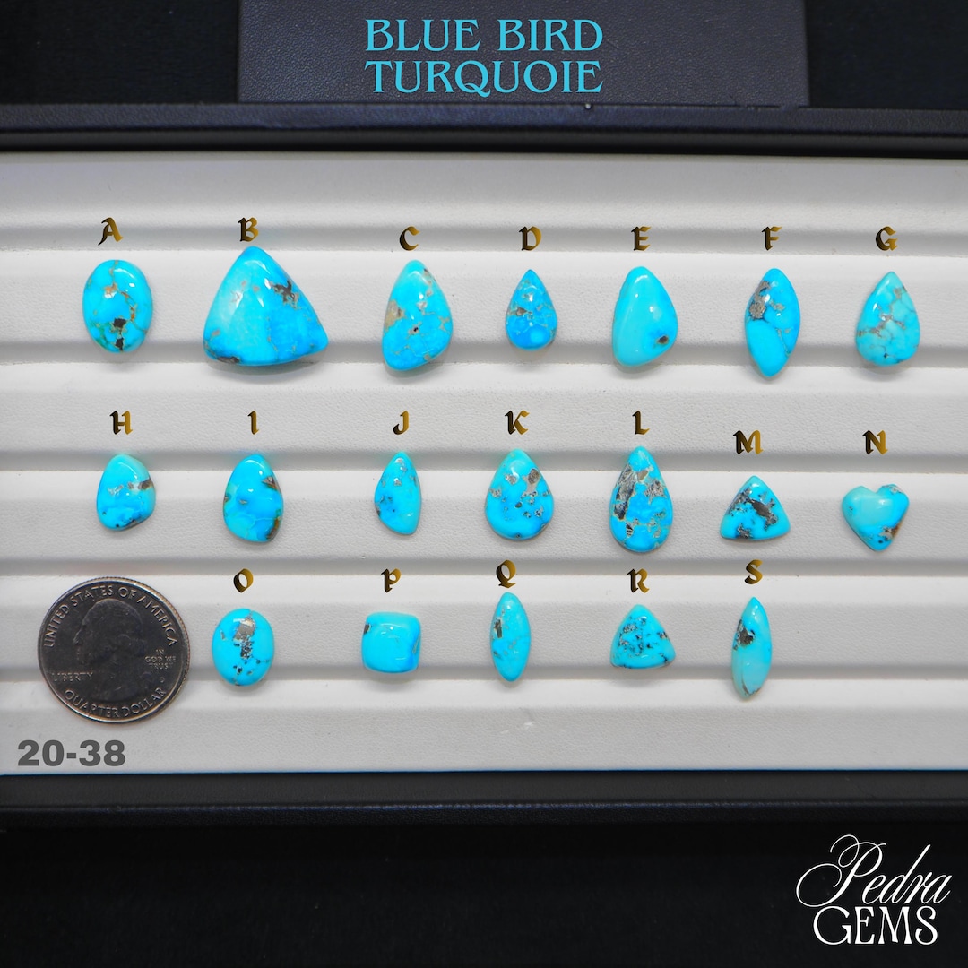 Genuine Blue Bird Turquoise Cab Native American Jewelry Stone - Etsy
