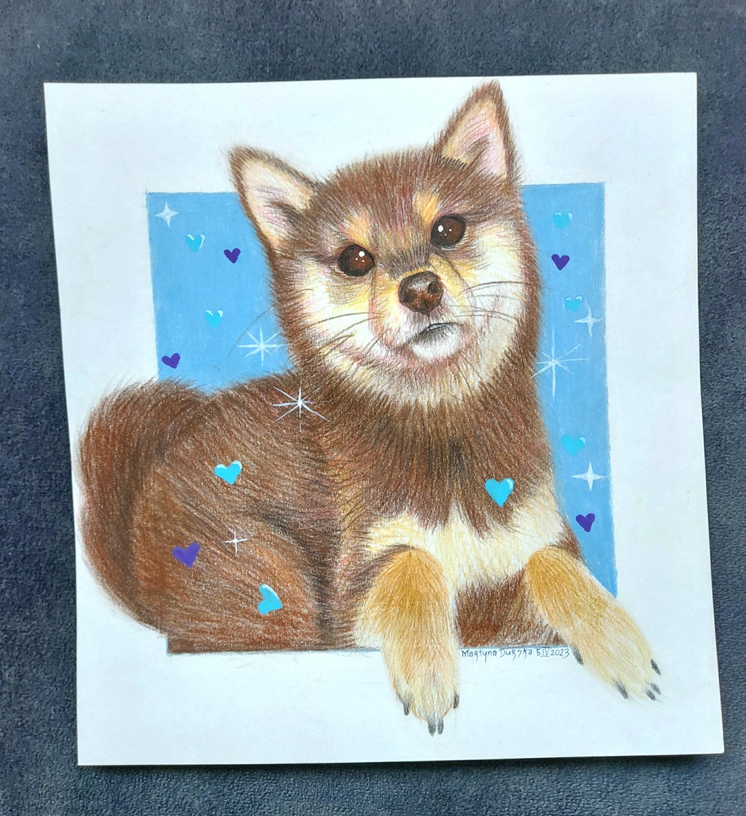 Shiba Inu Drawing - Etsy