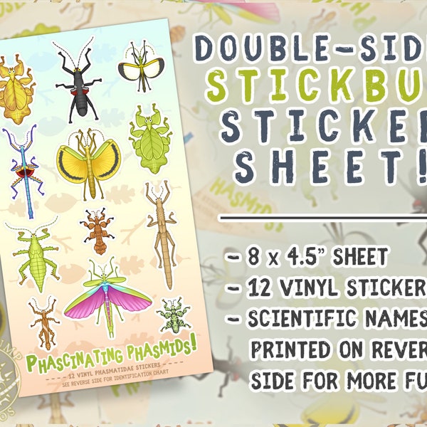 Insect Sticker - Etsy