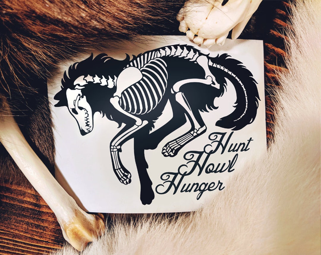 Wolf Skeleton Decal - Taxidermy, Werewolf, Loup Garou, Skull, Canine ...