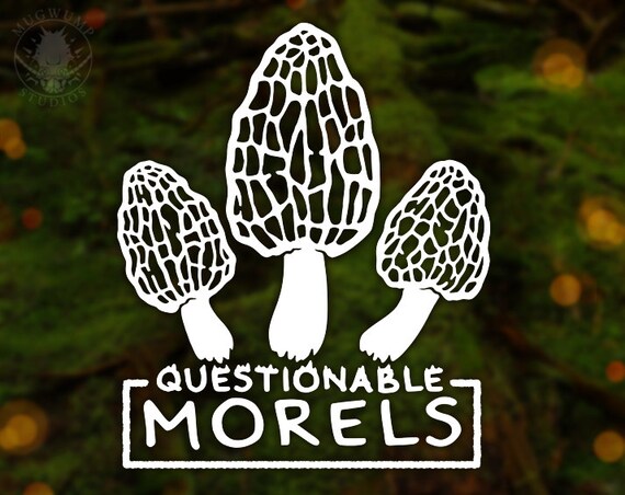 Paper Bumper Stickers Stickers, Labels & Tags Mushroom Morel stickers ...