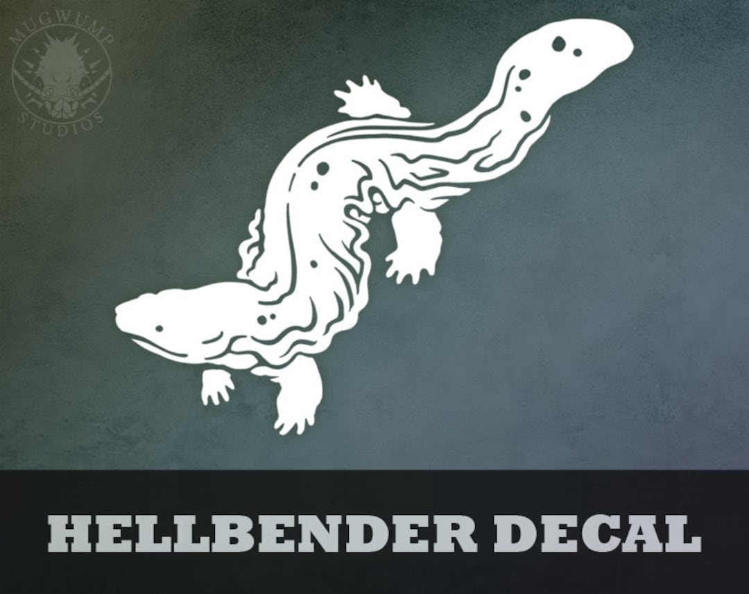 Hellbender Decal - Amphibian, Salamander, Herp Vinyl Bumper Sticker - Etsy