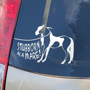 Paint War Pony Decal "stubborn as a Mare!" - Equine, Horse Vinyl Decal ...
