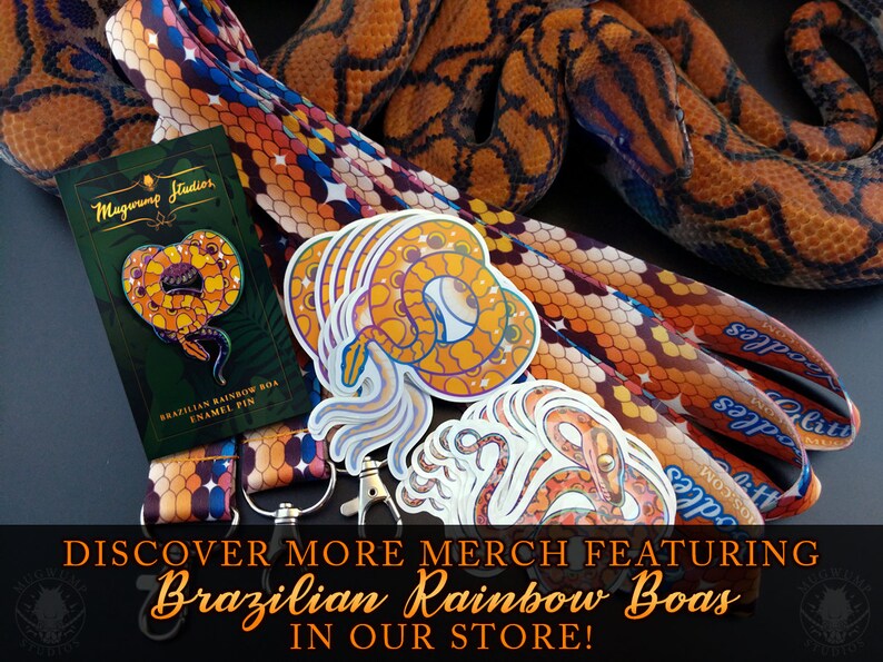 Brazilian Rainbow Boa Morphs Vinyl Stickers Snake Stickers | Etsy
