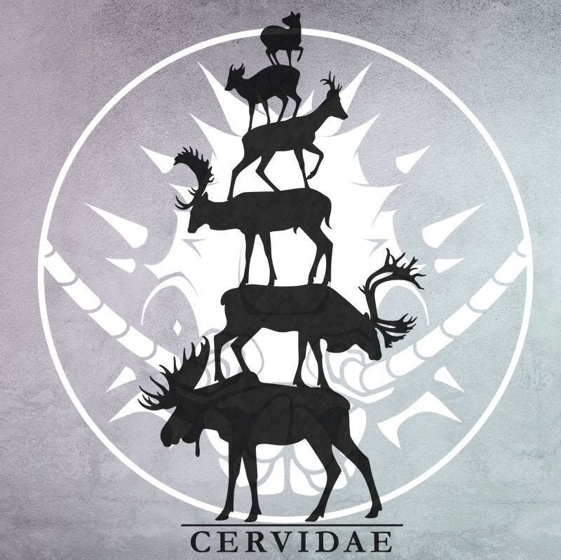 Deer Stack Decal Cervidae Family Wildlife Decal Moose | Etsy