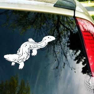 Hellbender Decal - Amphibian, Salamander, Herp Vinyl Bumper Sticker - Etsy
