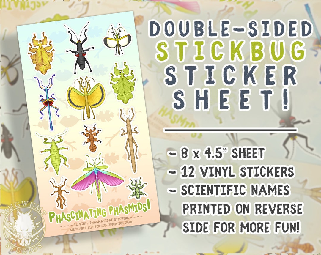 Stick Bug Sticker Sheet Phascinating Phasmids, Cute Bug Stickers, Vinyl ...