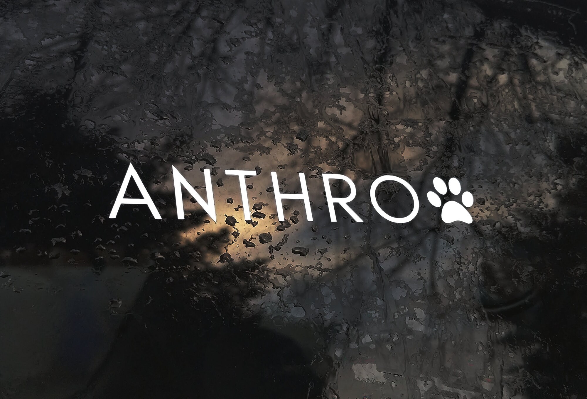 ANTHRO Fandom Pride Vinyl Decal - Etsy