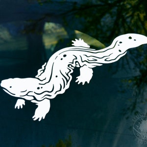 Hellbender Decal - Amphibian, Salamander, Herp Vinyl Bumper Sticker - Etsy