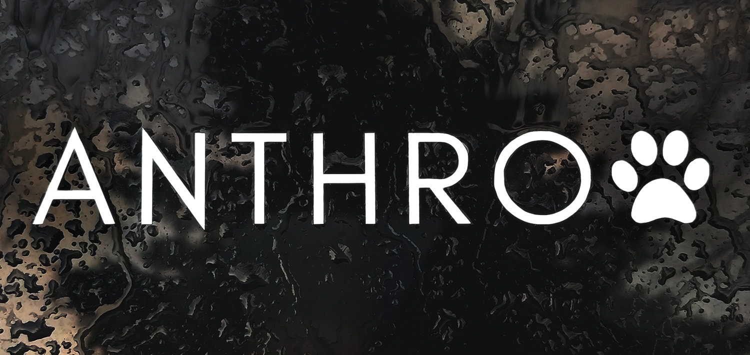 ANTHRO Fandom Pride Vinyl Decal - Etsy