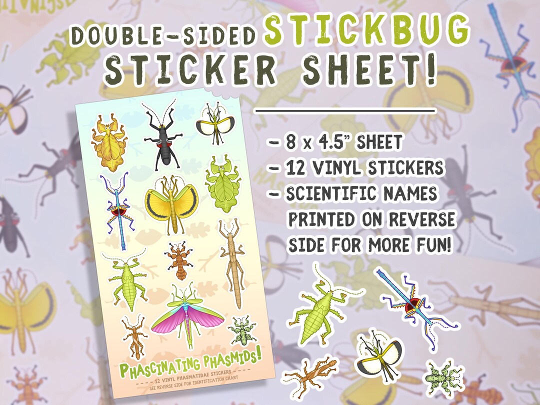 Stick Bug Sticker Sheet - Phascinating Phasmids, Cute Bug Stickers ...