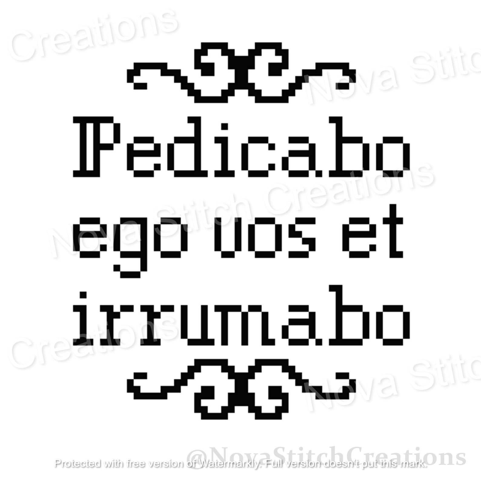 Pedicabo Ego Vos Et Irrumabo Latin I Will Sodomize and - Etsy