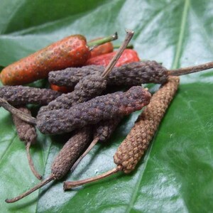 Long Pepper , Piper Longum , Indian Long Pepper , Organic Dry Spicy ...