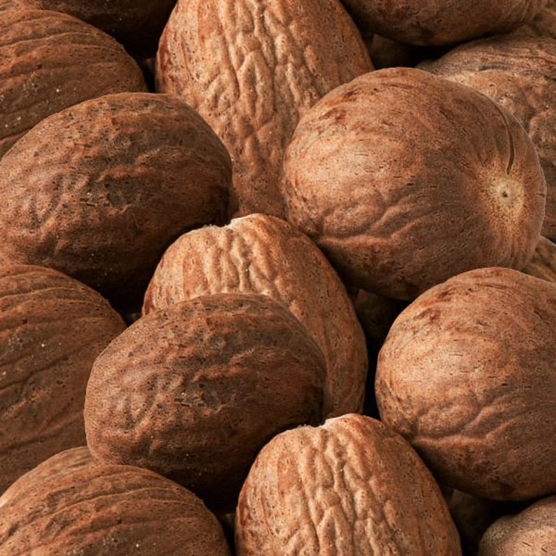Organic Nutmeg Whole Nutmeg Fragrant Nutmeg or True Nutmeg - Etsy