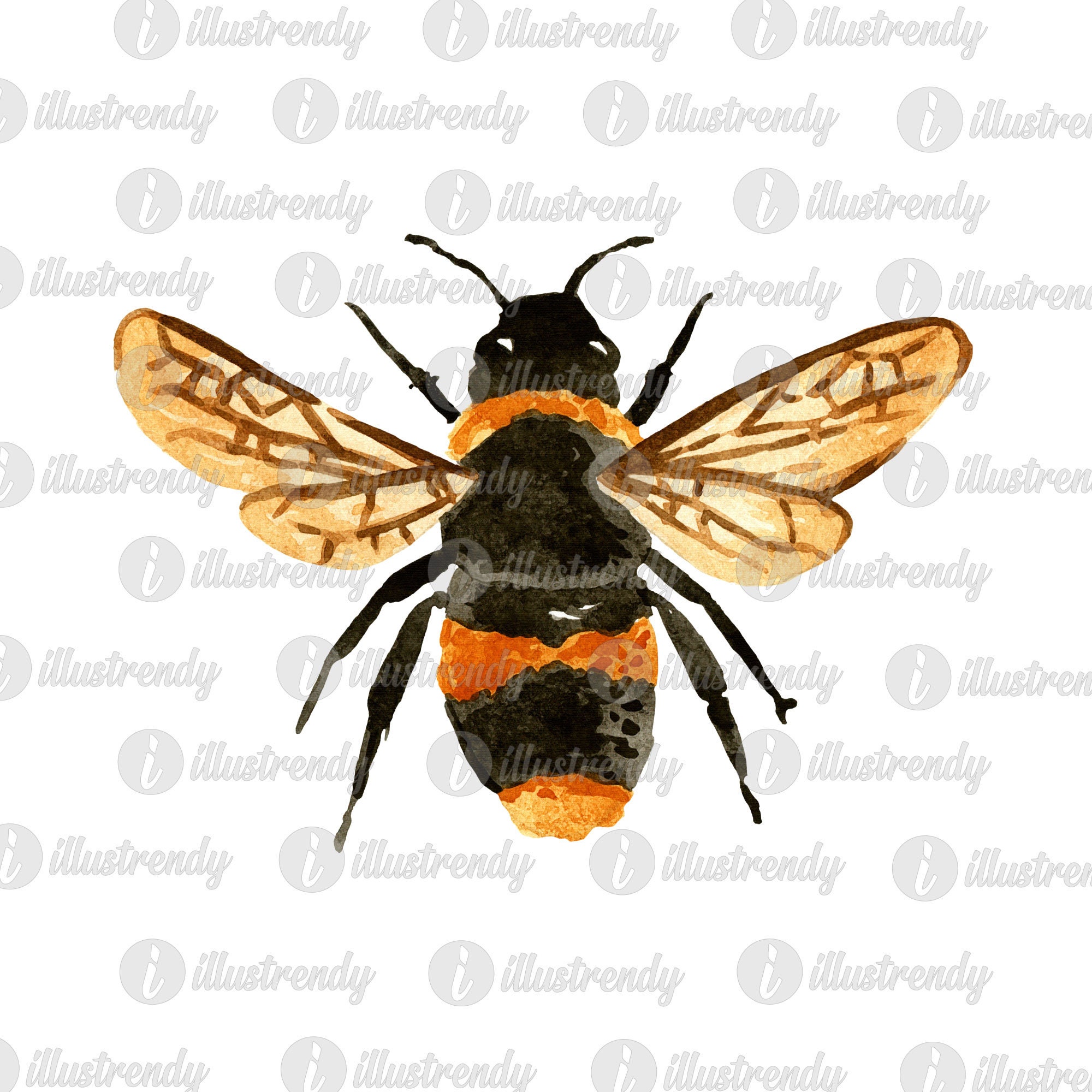 Watercolor Bumble Bee Sublimation Design Honeycomb Insects | Etsy