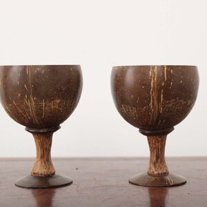 Coconut Shell Wine Cup Fruit Salad Bowl Set of Two Decorative ...