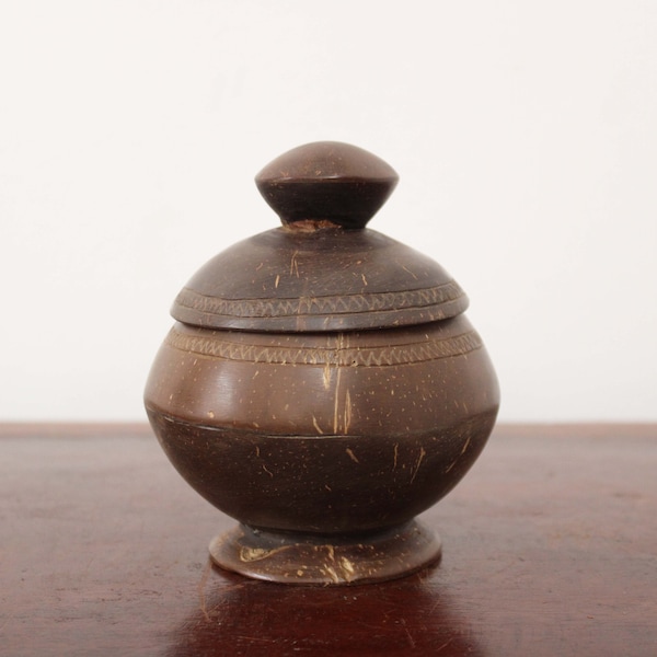 Shell Container - Etsy