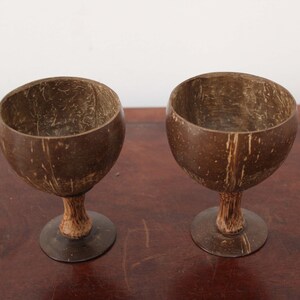 Coconut Shell Wine Cup Fruit Salad Bowl Set of Two Decorative ...