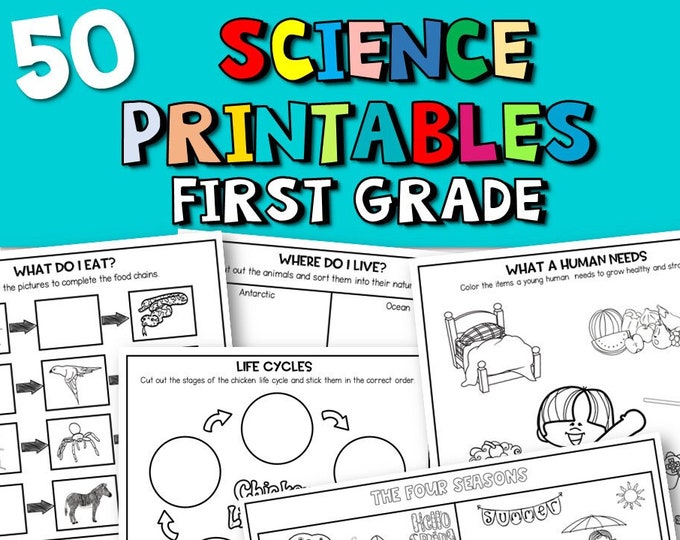 Science Activities : Weather Unit for Kindergarten First - Etsy Hong Kong