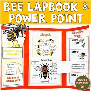 World Bee Day Lapbook & Bee Powerpoint Activity - Etsy
