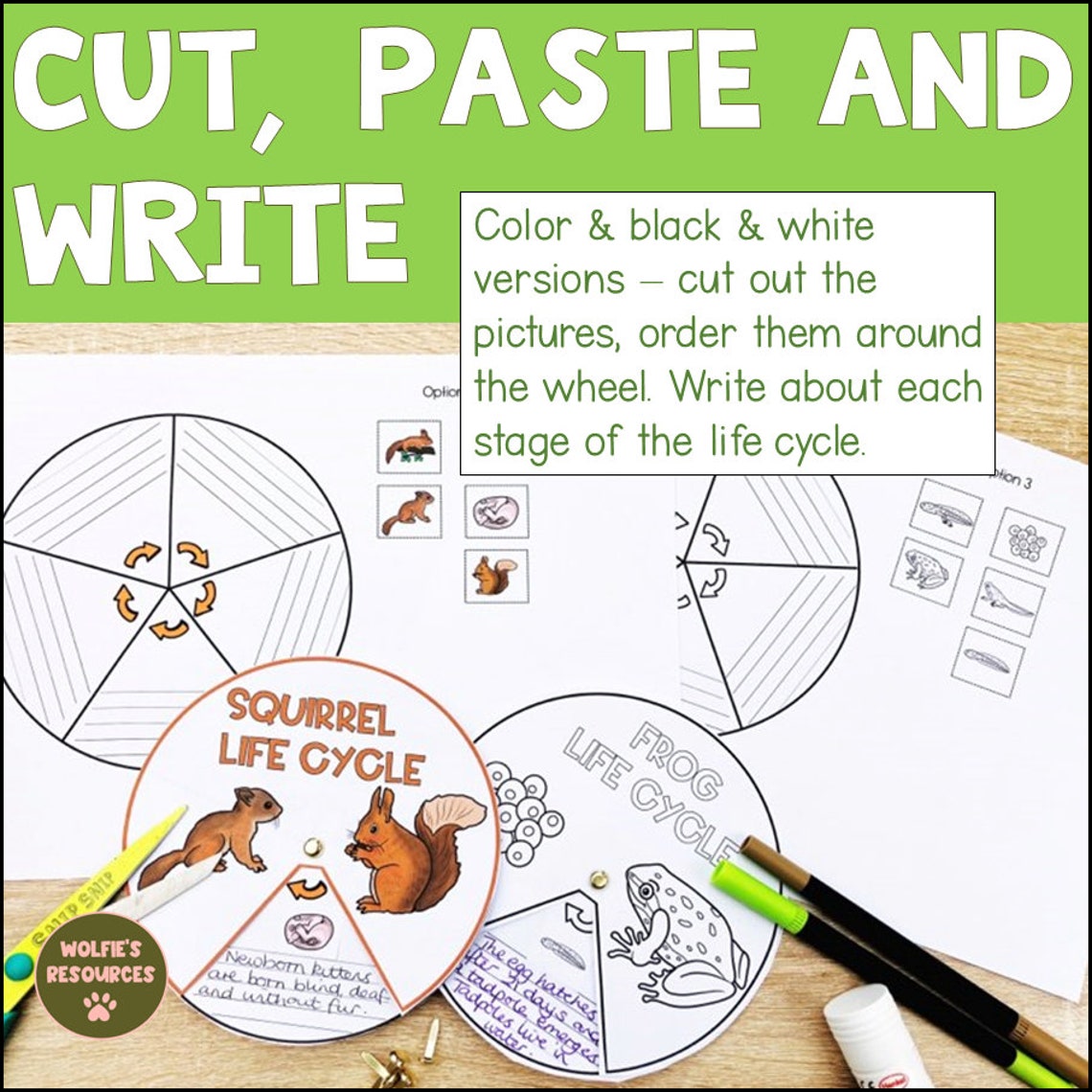 Life Cycle Wheels: Animal & Plant Learning Activity - Etsy