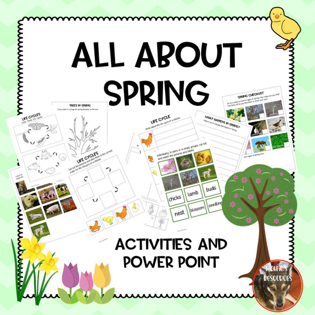 All About Spring - Etsy