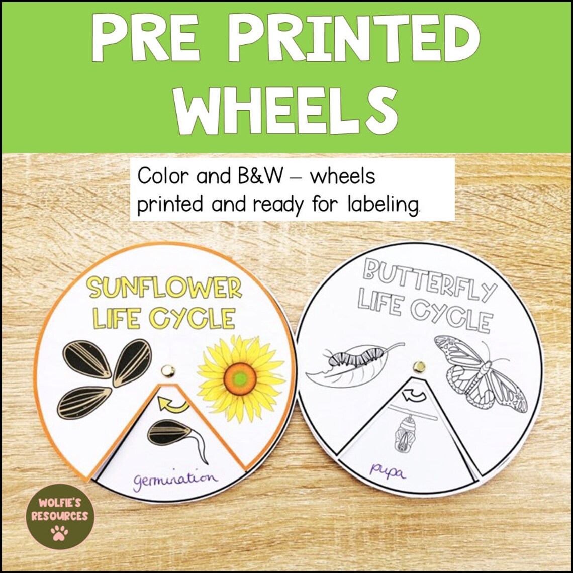 Life Cycle Wheels: Animal & Plant Learning Activity - Etsy