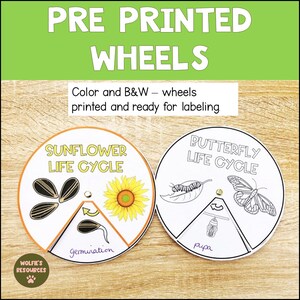Life Cycle Wheels: Animal & Plant Learning Activity - Etsy
