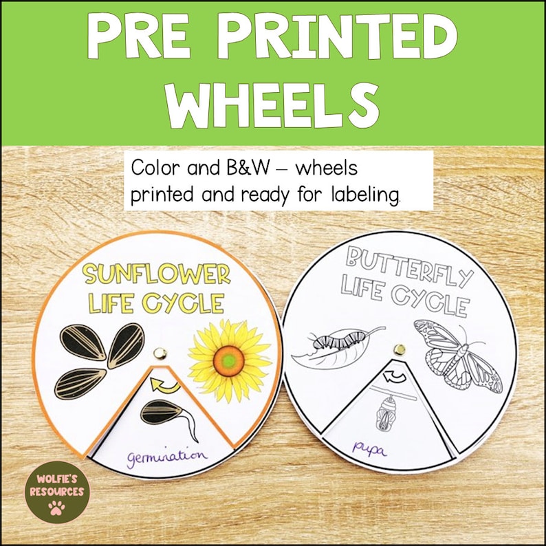 Life Cycle Wheels: Animal & Plant Learning Activity - Etsy