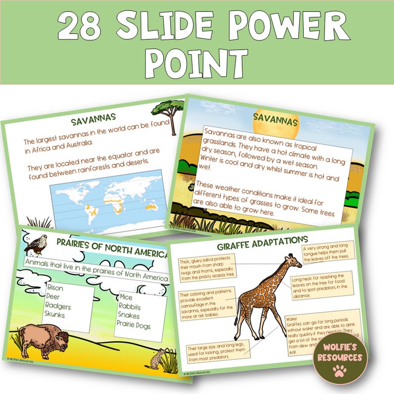 Grasslands Biome: Teaching Powerpoint & Activities (printable) - Etsy