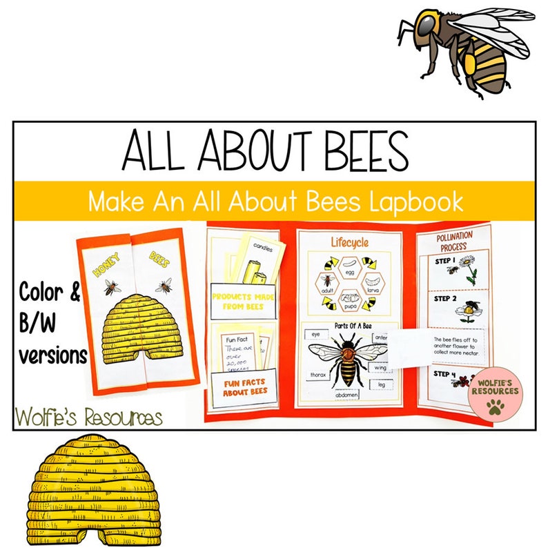 World Bee Day Lapbook & Bee Powerpoint Activity - Etsy