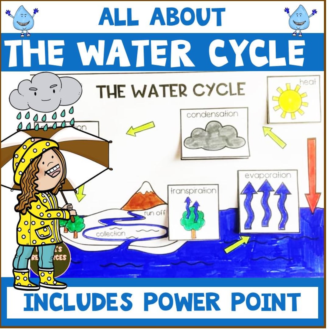 Water Cycle Diagram Activities Worksheets Power Point and Craft - Etsy