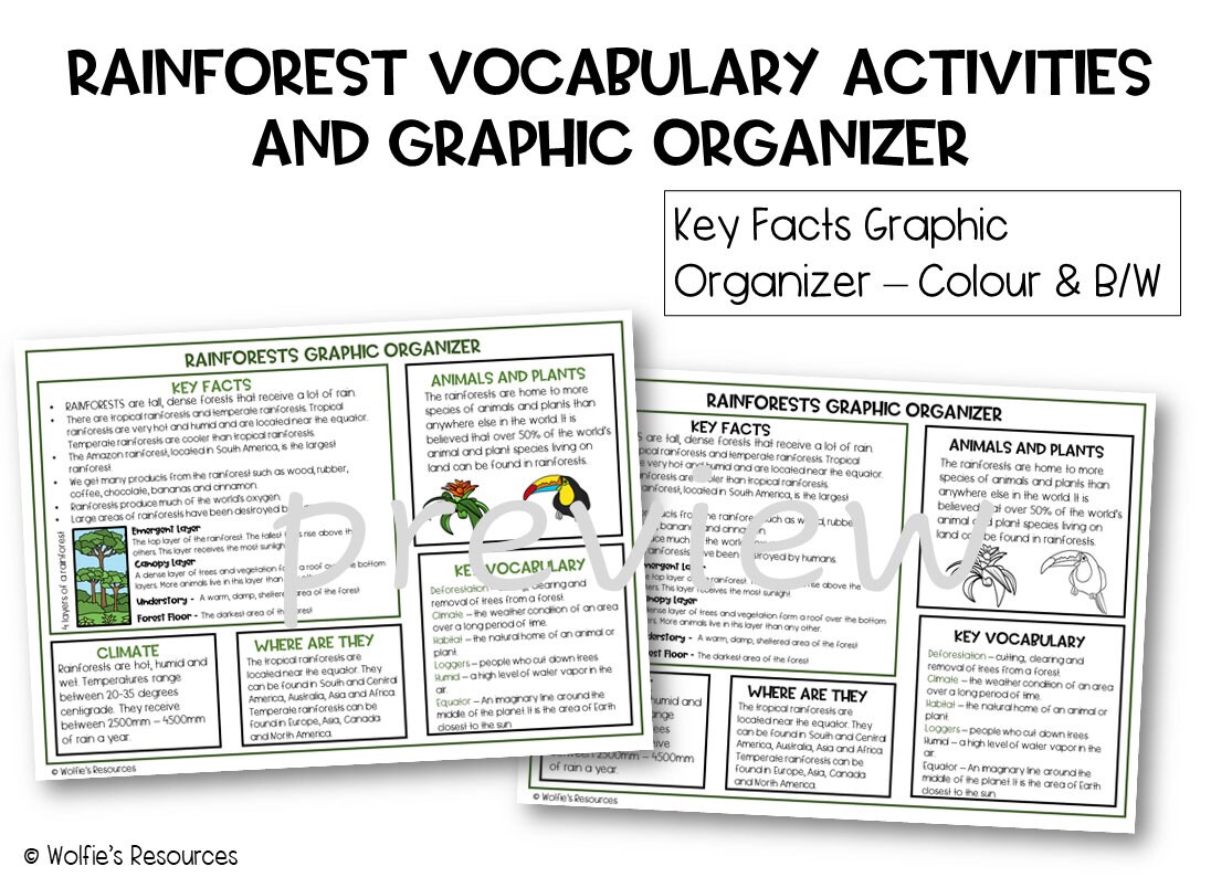 Rainforest Vocabulary Activities - Etsy